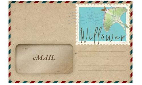 Willower.org – rewriting life after unimaginable loss