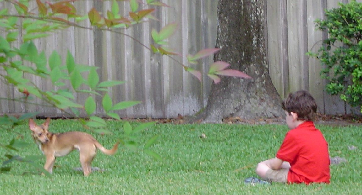 Chapter 2. Living normally – Willower.org